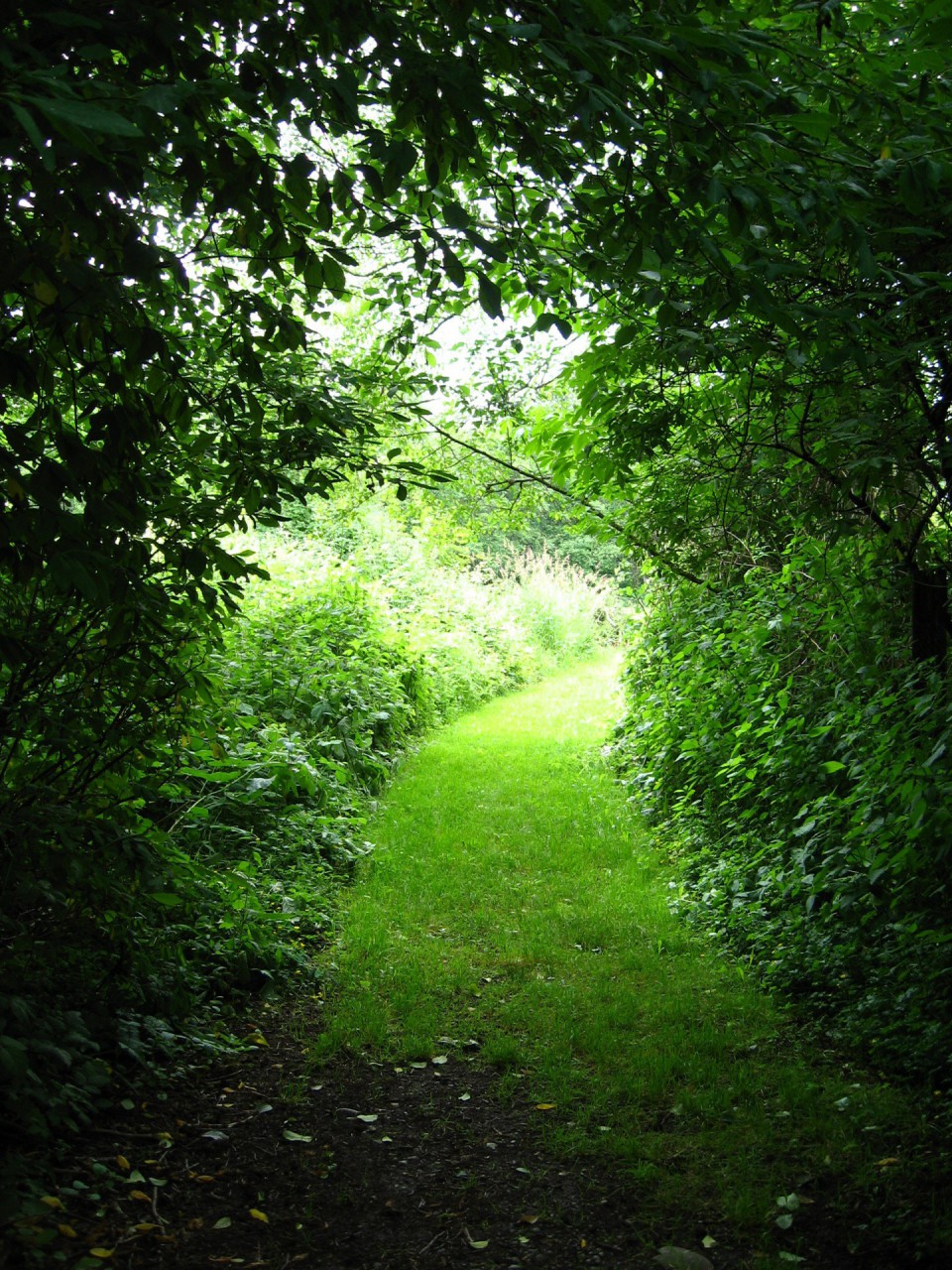 Community Gardens - Edenvale Retreat Center