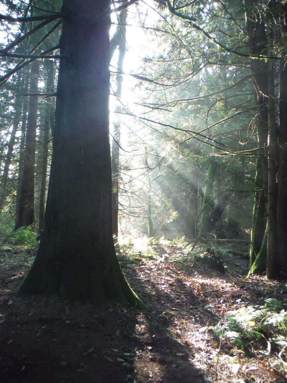 Edenvale Team - Edenvale Retreat Center